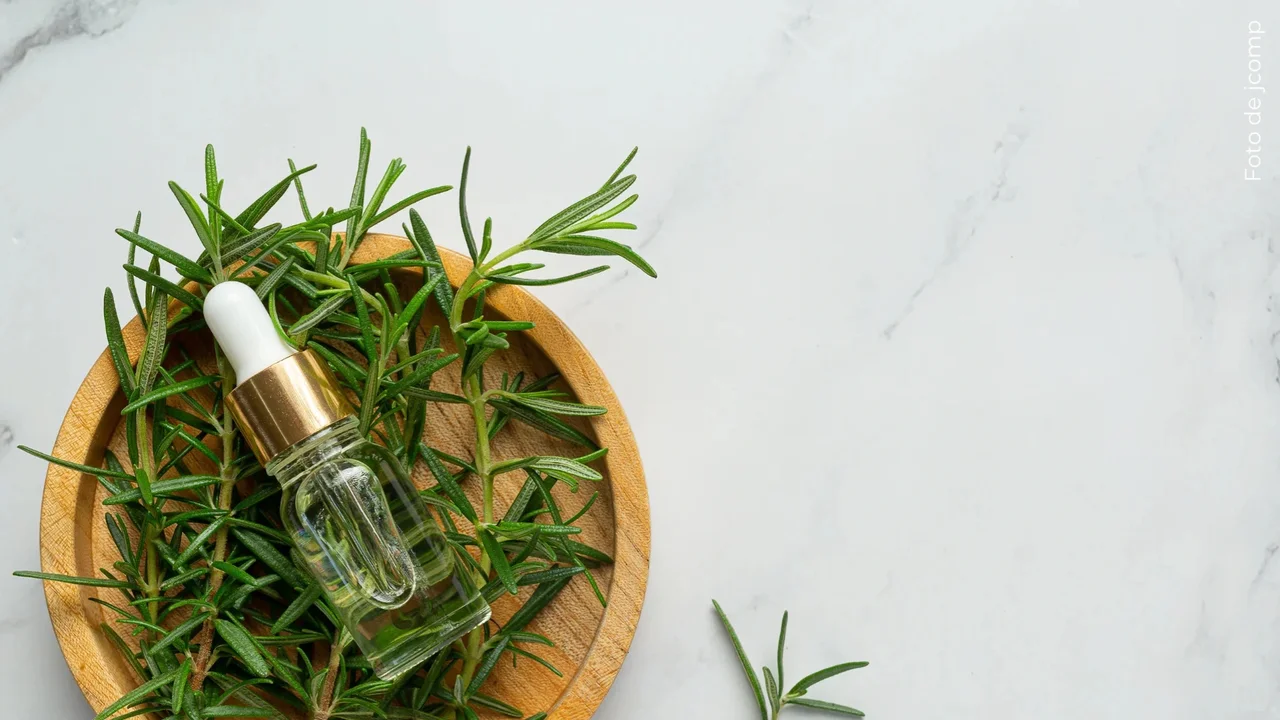 Descubre los beneficios del romero para el cabello